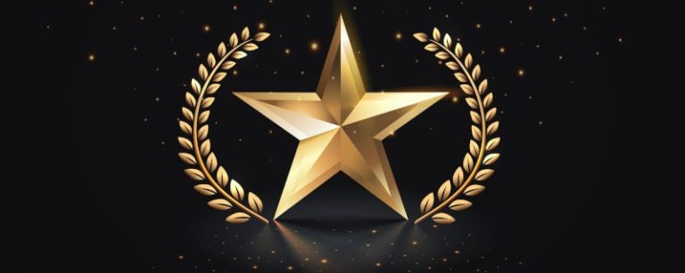 VSoft in the Gazele Biznesu 2024 ranking! | News VSoft